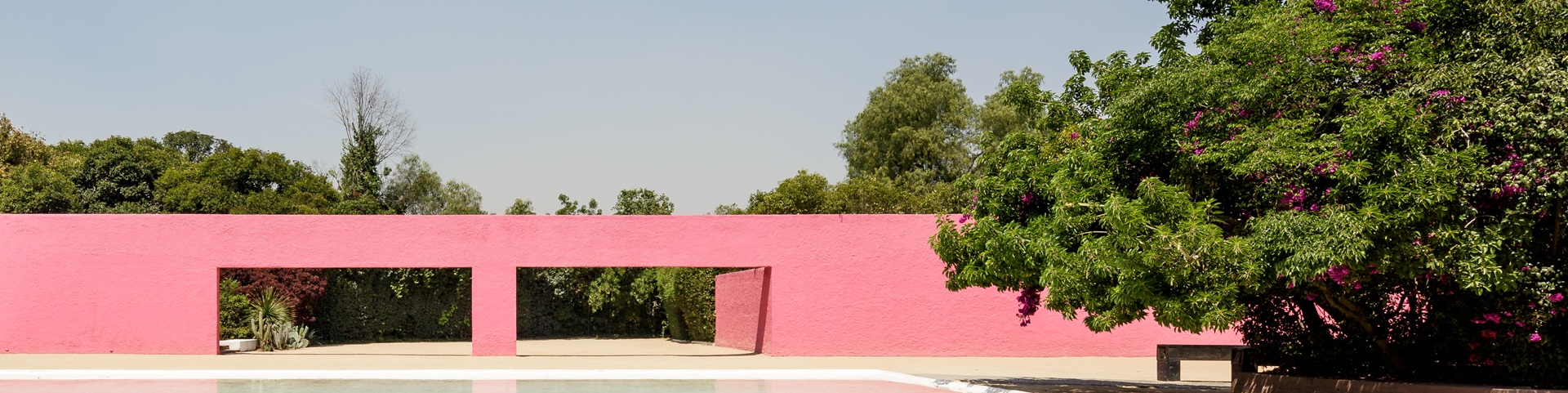 L'Arca International magazine - History, epic and team